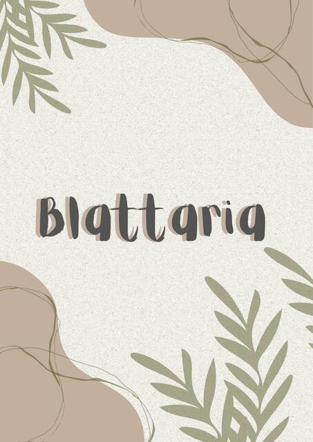 BLATTARIA | Luisana Aneth CR | uDocz