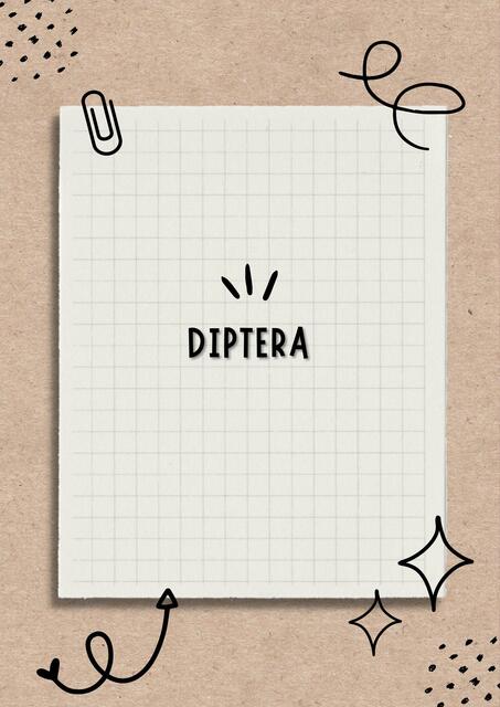 DIPTERA | Luisana Aneth CR | uDocz