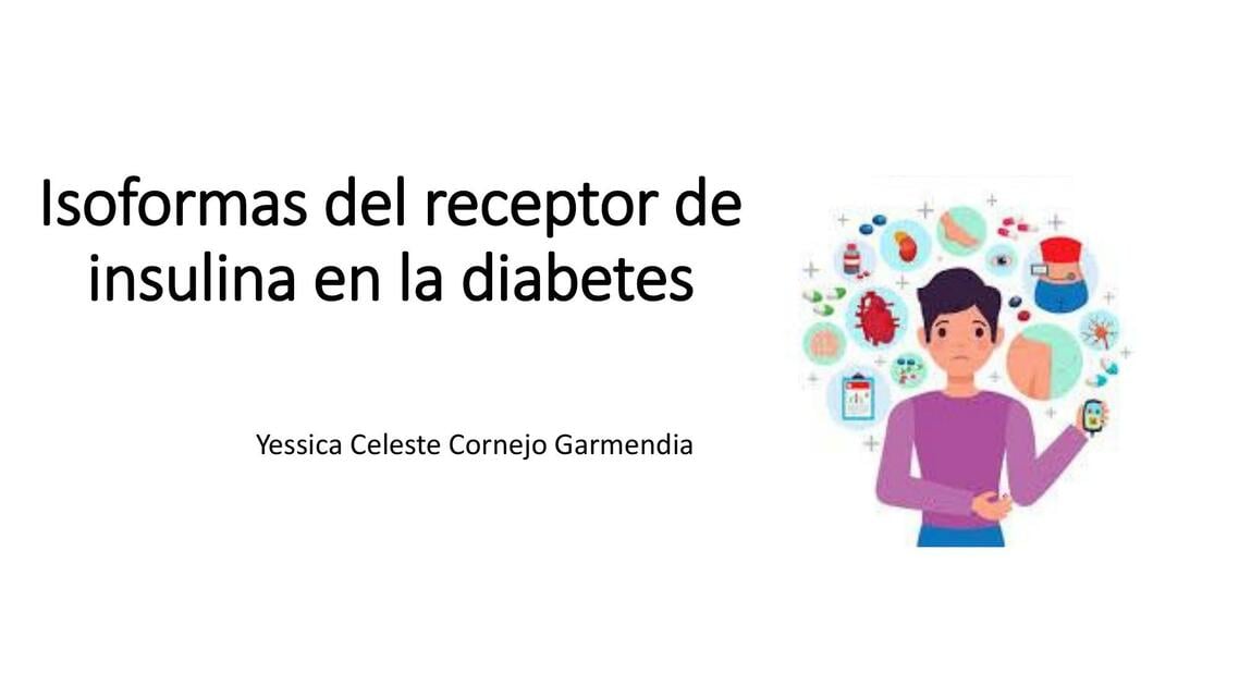 receptores de Insulina | yessica | uDocz