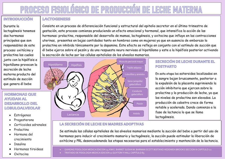 LACTOGENESIS | uDocz creators | uDocz