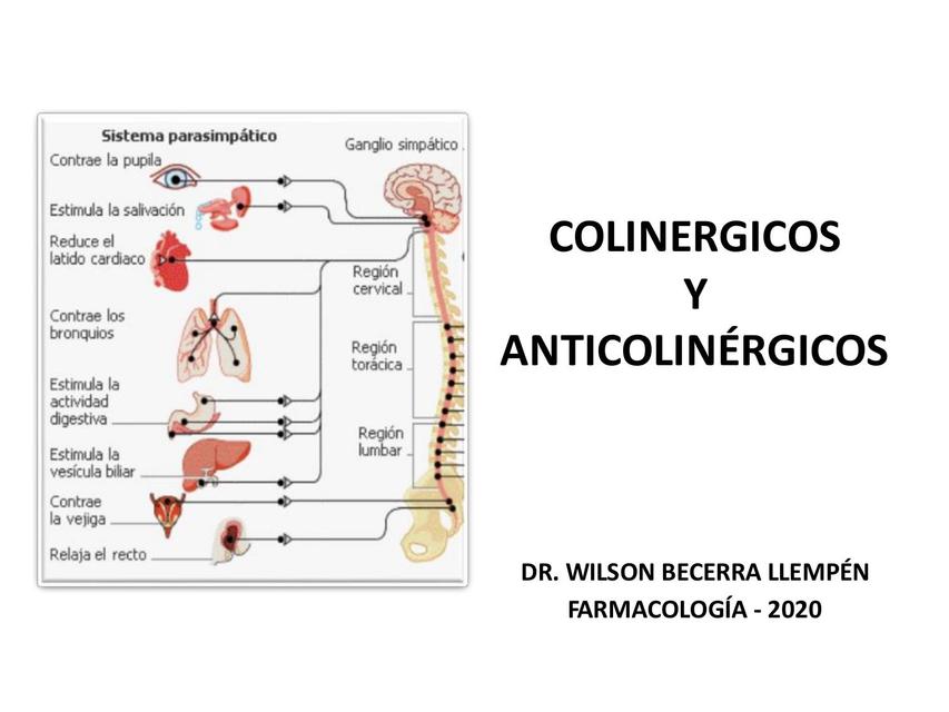 COLINERGICOS | Héctor Dávila | uDocz