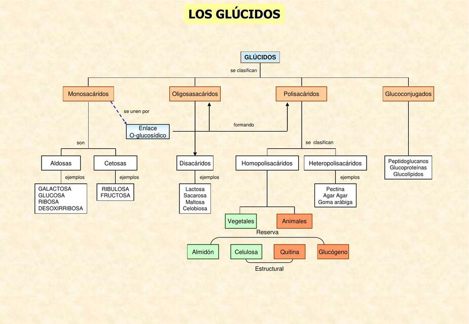 MAPA CONCEPTUAL DE GLÚCIDOS | Full ciencia | uDocz