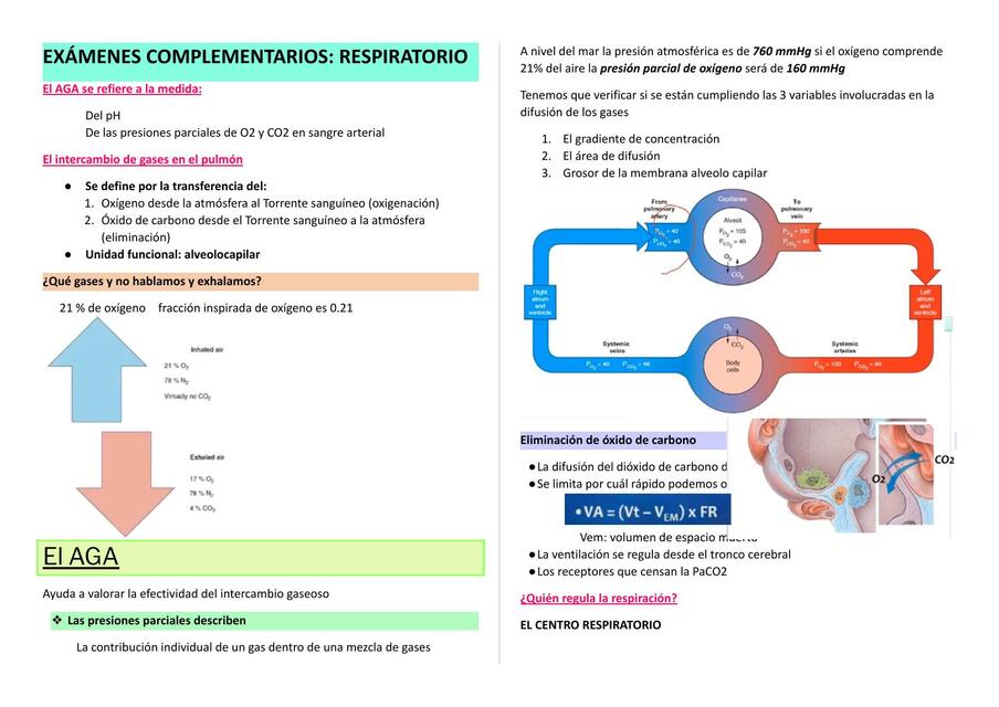 EXAMENES COMPLEMENTARIOS EN MEDICINA | Futuro Doctor | uDocz