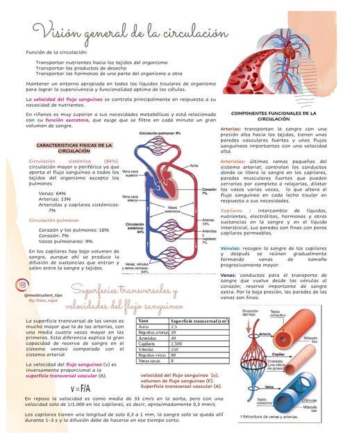 Vision general de la circulación Guyton cap 14 | Dasz_rojas | uDocz