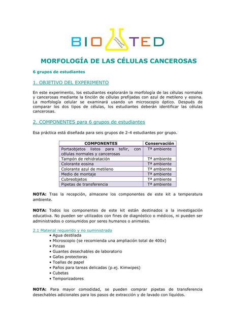 MORFOLOGIA CELULAS CANCEROSAS | Andree Ortiz | uDocz