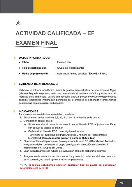 final micro | Zamira | uDocz