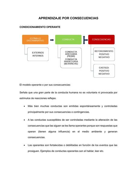 APRENDIZAJE POR CONSECUENCIAS | Claudia Quispe | uDocz