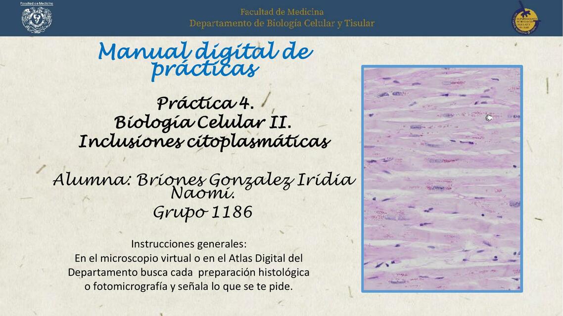 Biología Celular II.Inclusiones citoplasmáticas | Naomj | uDocz