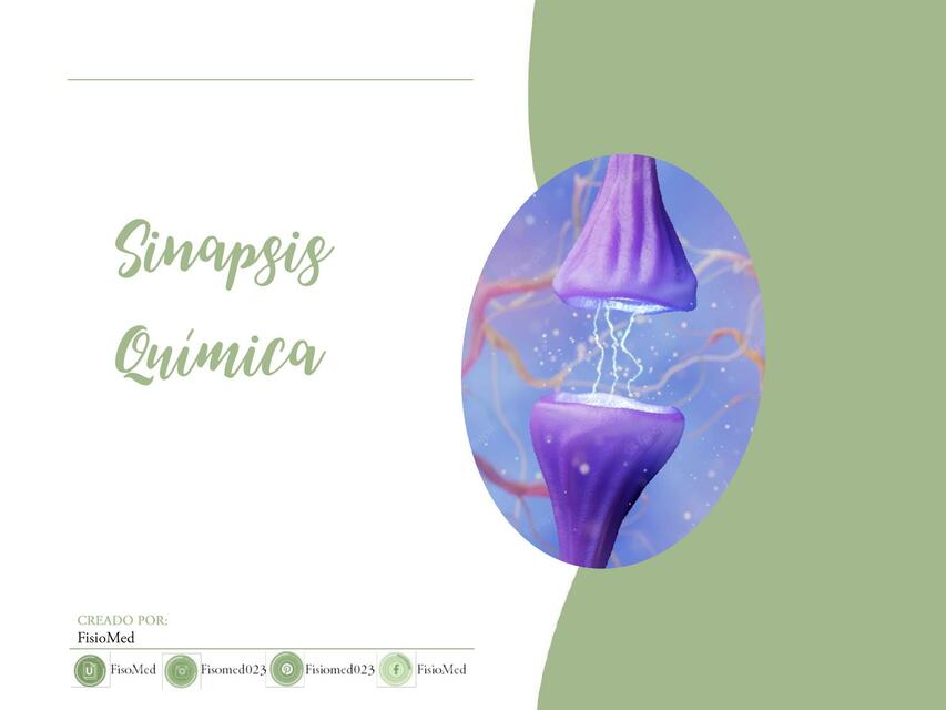 Sinapsis química | Fisiomed023 | uDocz