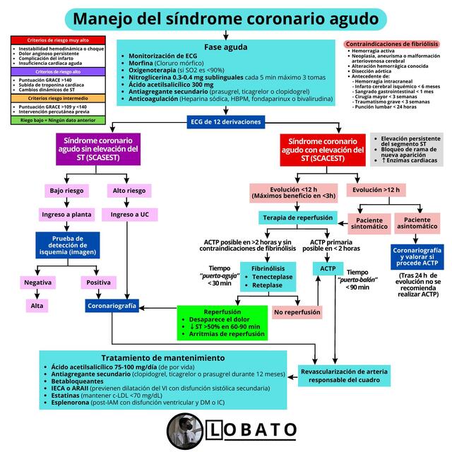 Algoritmo de Tratamiento de Infarto Agudo de Miocardio 🩺 | Lobato MD ...