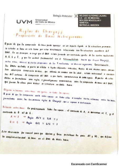 Reglas de Chargaff Proporción de Bases Nitrogenadas. | Jajaira Delgado ...