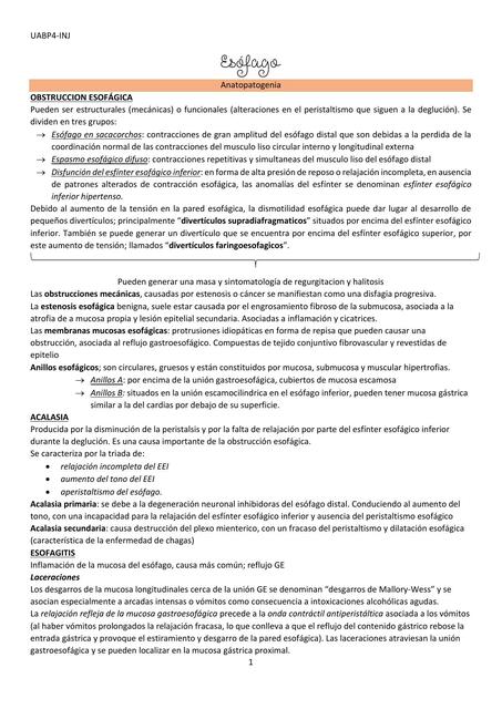 SEMIOLOGIA ANATOPATO esofago | Julieta | uDocz