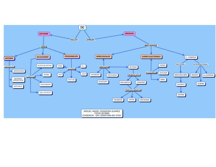 MAPA MENTAL TIC miguel angel | milu | uDocz