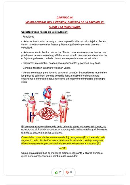 capitulo 14 fisiologia de guyton and hall compress | Marcelo Pico | uDocz