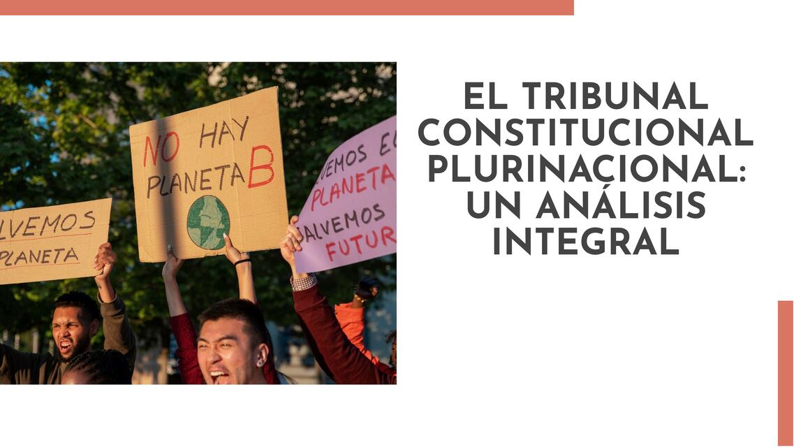 Tribunal constitucional plurinacional: historia, composiciones, funciones, códigos y artículos ...