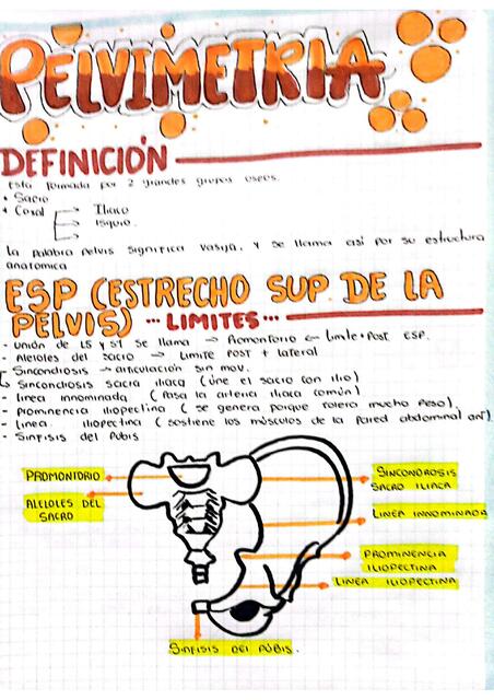 Ginecologia Pelvimetria | Danyary Briones | uDocz