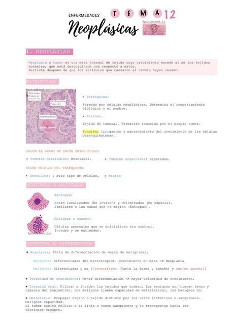 Enfermedades Neoplásicas | Apuntesmed.lu | uDocz