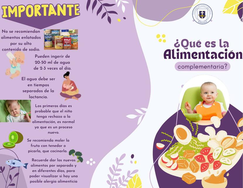 Alimentación complementaria triptico | Fran Aguilar 💙 | uDocz