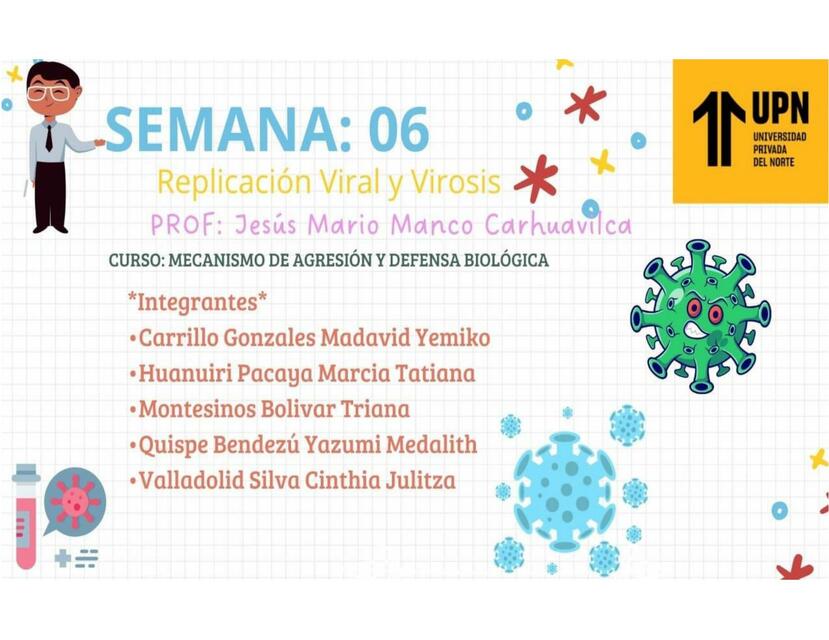 Guía De Práctica N6 Mavi Udocz