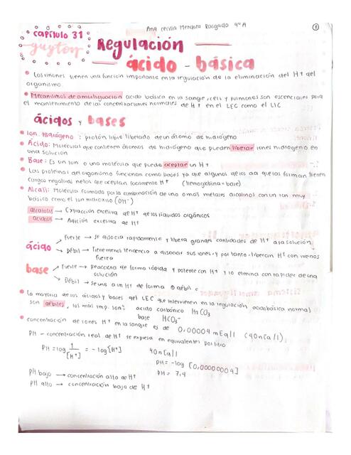 cap 31 guyton regulación ácido básica | Ana Rasgado | uDocz