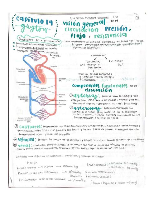 cap 14 guyton circulación | Ana Rasgado | uDocz
