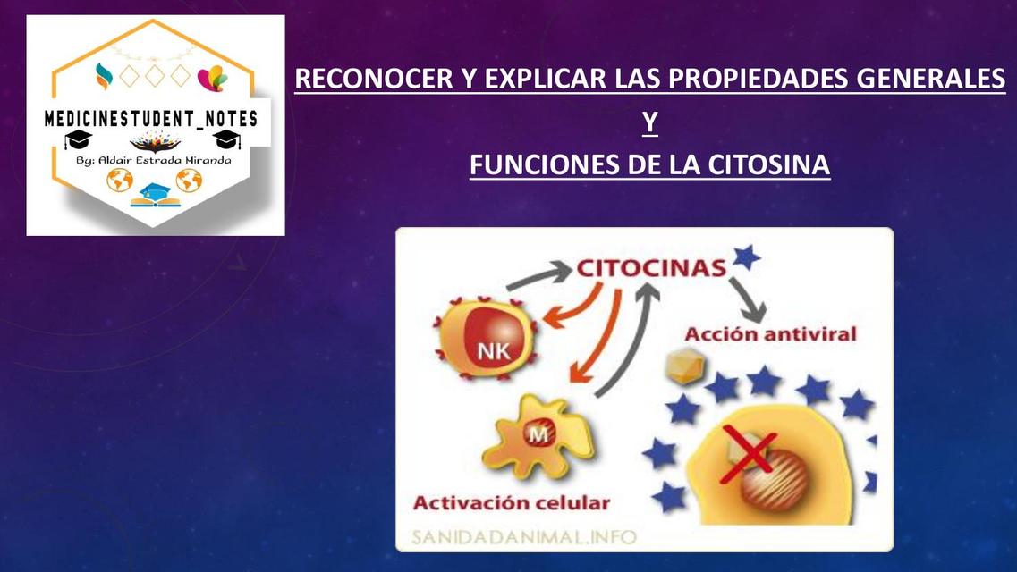 Propiedades Generales y Funciones de la Citosina | medicinestudent ...