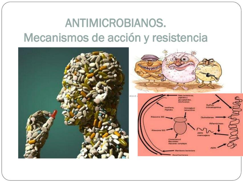 Antibioticos Mecanismos de Accion | Mip_estudio | uDocz