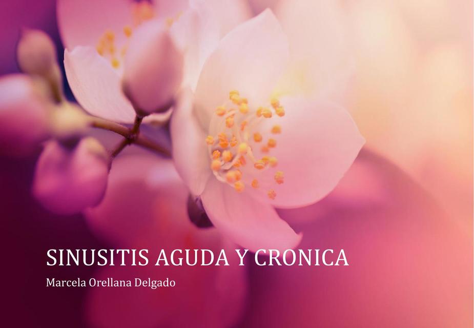 Flashcards de SINUSITIS AGUDA Y CRONICA | Por Marcela Orellana | uDocz