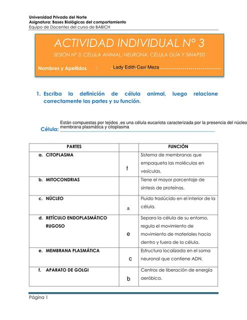 inbound | Lady | uDocz