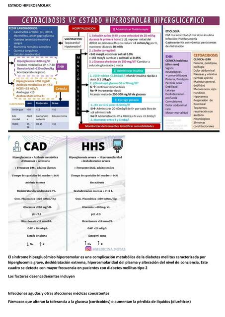 CETOACIDOSIS Y ESTADO HIPEROSMOLAR | Henry Callupe | uDocz