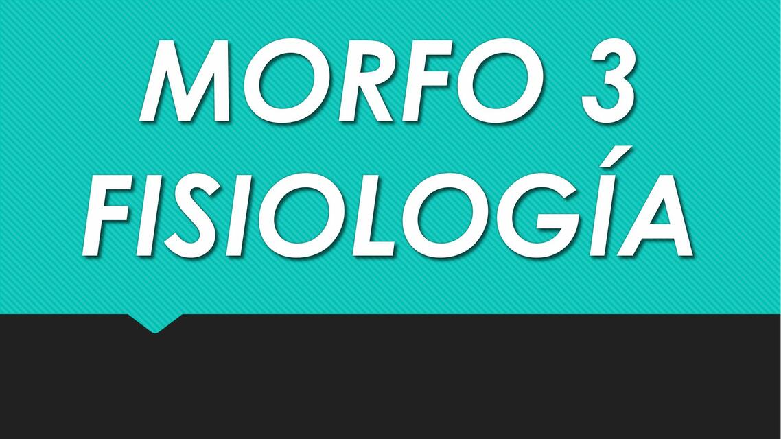 FISIOLOGÍA MORFO 3 | Henry Callupe | uDocz