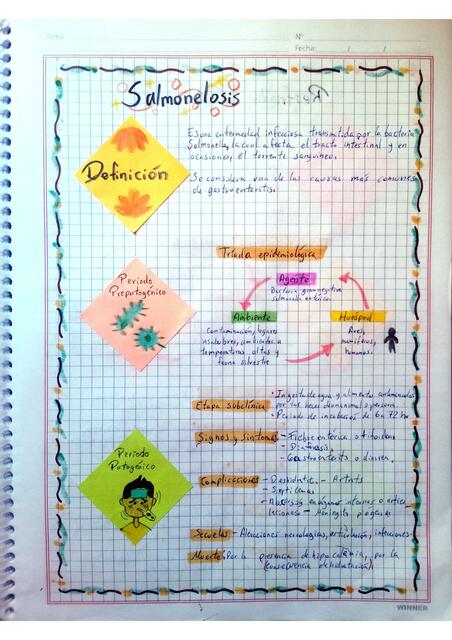 Salmonelosis | Daniela Alarcón | uDocz