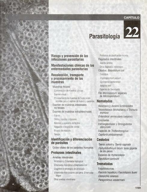 parasitologia koneman | JOSLIA DOMENICA | uDocz