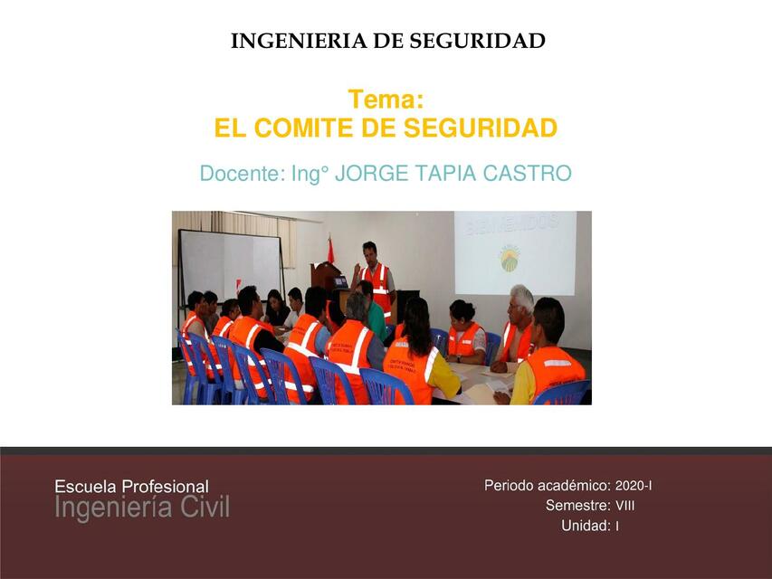 INGENIERIA DE SEGURIDAD - EL COMITE DE SEGURIDAD | INGENIEROS LMI | uDocz