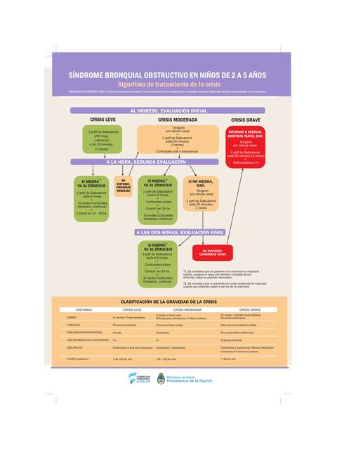 Síndrome bronquial obstructivo en niños de 2 a 5 años | Claudia | uDocz