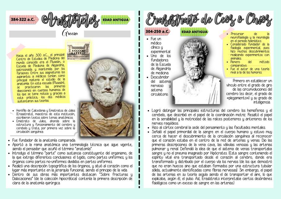 Historia de la anatomía (Aristóteles y Erasítrasto) | Antonella ...