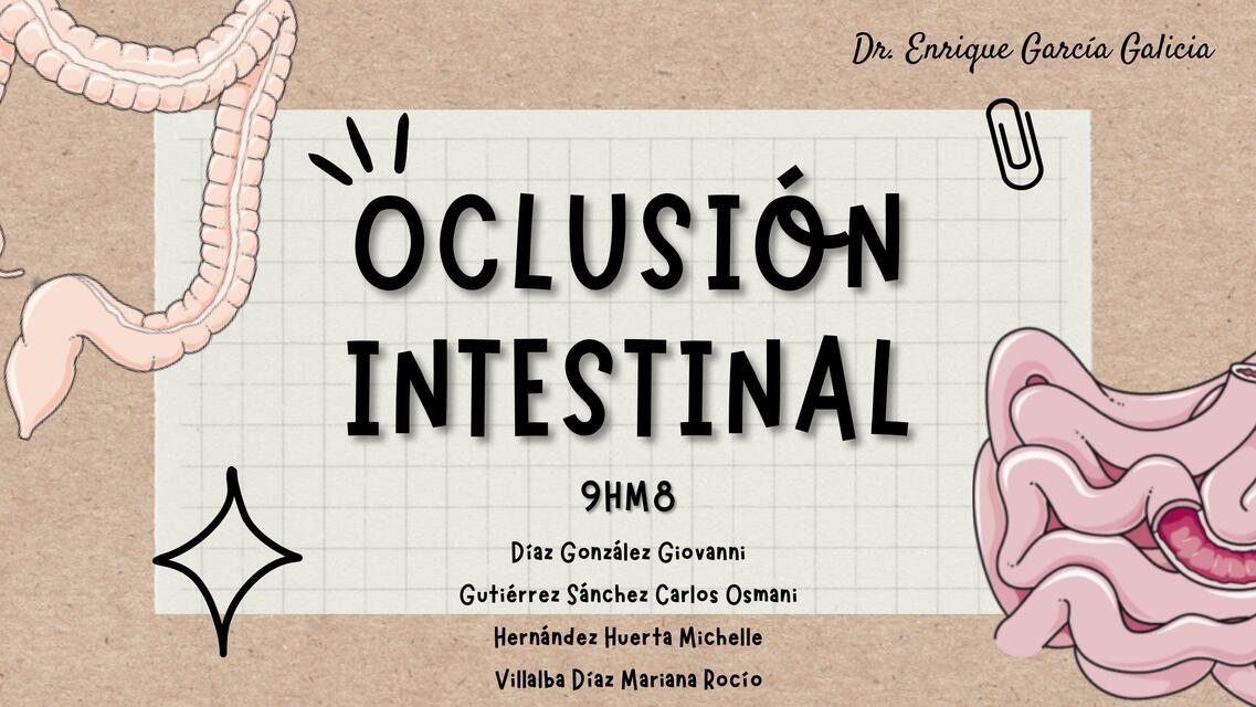 Oclusión intestinal | Itzel Almanza | uDocz