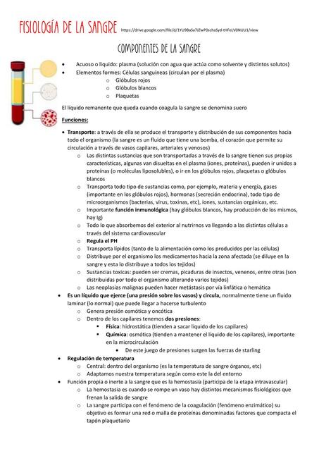 Resumen Fisiología de la Sangre | Dra. Licenciada | uDocz