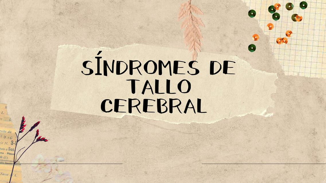 Síndromes de tallo cerebral | Nancy A3C | uDocz