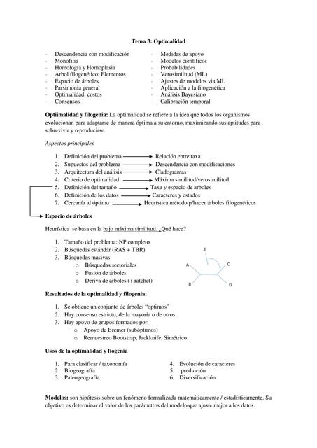 Tema 3 optimalidad pdf | sof | uDocz