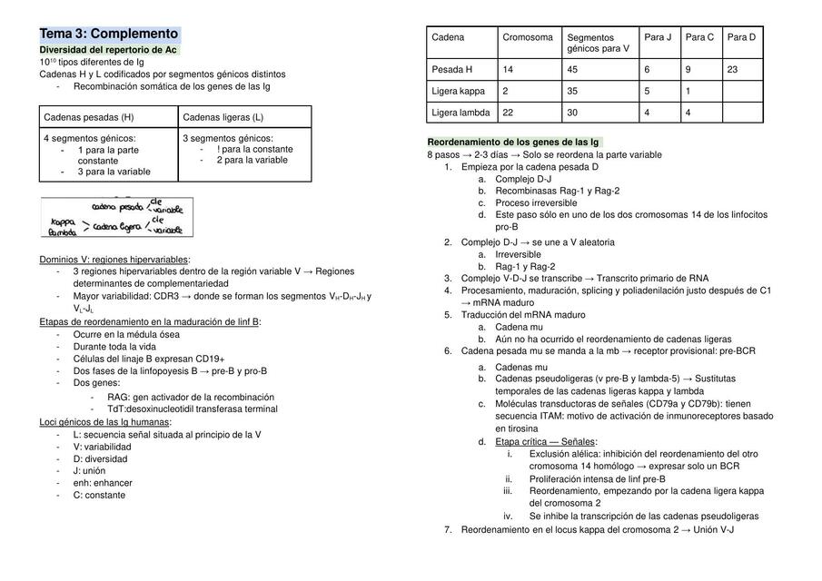 Complemento | Doctor_teco | uDocz