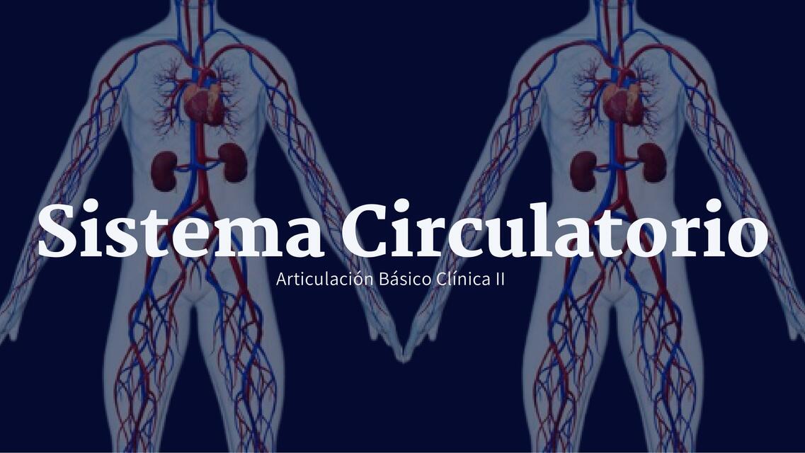 Sistema Circulatorio | Cuñado | uDocz