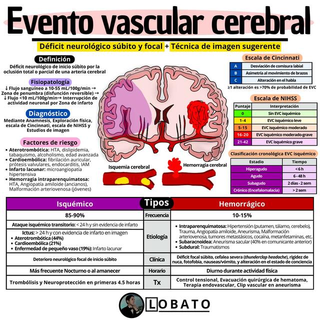 Evento vascular cerebral (EVC) 🩺🧠| Clínica, Clasificación, Tratamiento ... Evento vascular cerebral (EVC) 🩺🧠| Clínica, Clasificación, Tratamiento ...