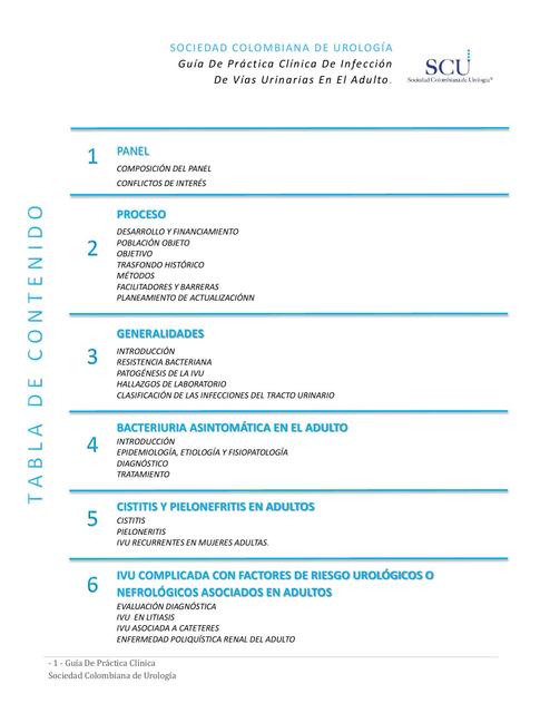 Guia De Practica Clinica De Infeccion de vias urinarias en el adulto ...