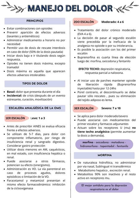 MANEJO DEL DOLOR | Nursing_assist4nce | uDocz