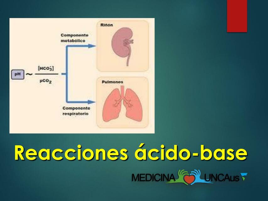 Reacciones ácido base | Neli | uDocz