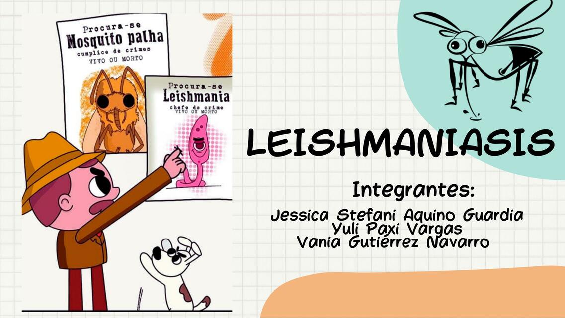 La leishmaniasis visceral se propaga por la picadura | Jessica Stefani ...