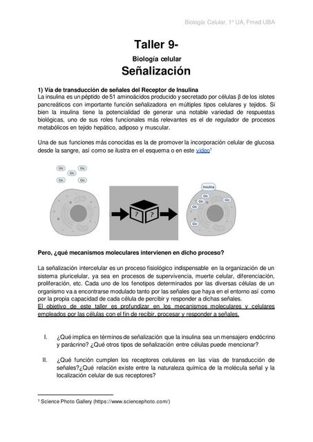 TALLER 9 BC | Sara Rodríguez | uDocz