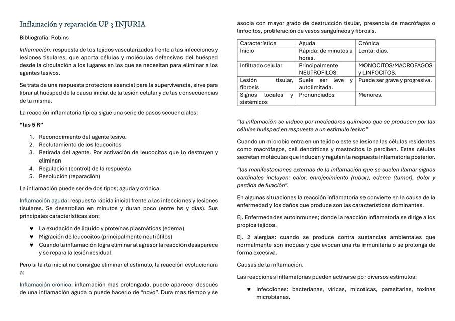 Flashcards de Inflamación y reparación UP 3 INJURIA | Por Clara | uDocz