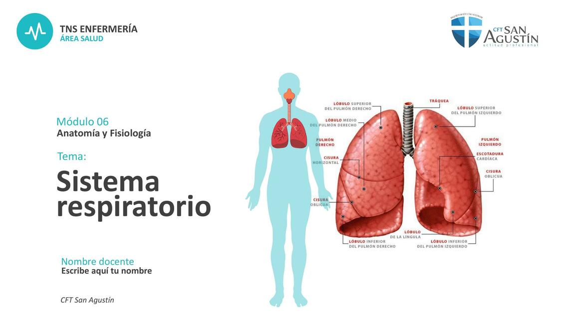 ENF M06 AE4 P06 Sistema respiratorio | Constanza Romero | uDocz